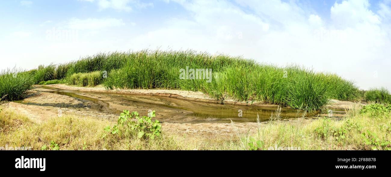 Saudi Arabian farm land Stock Photo - Alamy