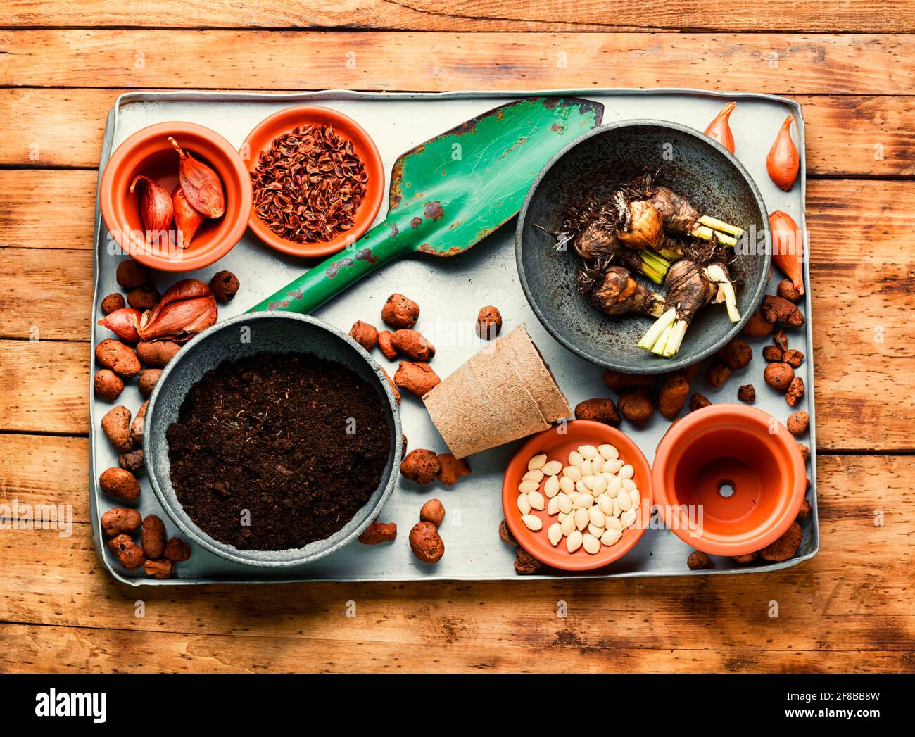 Set of plant seeds,bulbs,pots and gardening tools.Planting seedlings ...