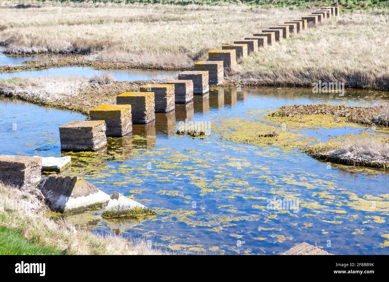 Concrete tank traps hi-res stock photography and images - Alamy