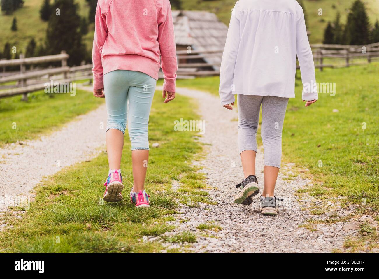 Children hiking in mountains or meadows with sport hiking shoes. Girls ...