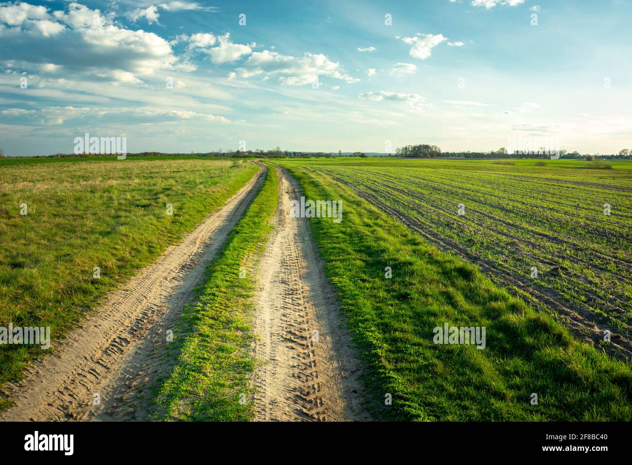 Long green hi-res stock photography and images - Alamy