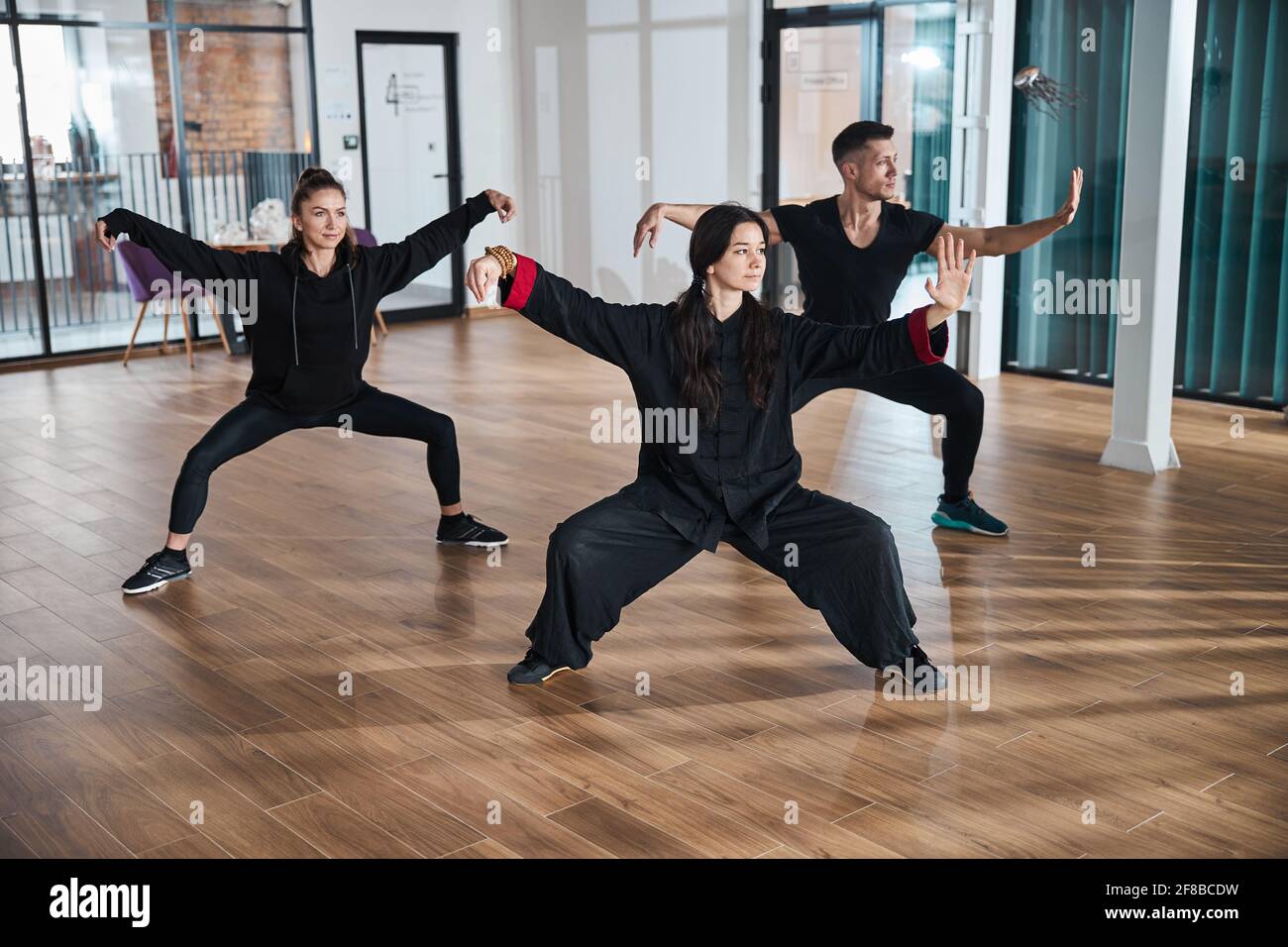 Three people doing high pat on horse single whip stance Stock Photo - Alamy