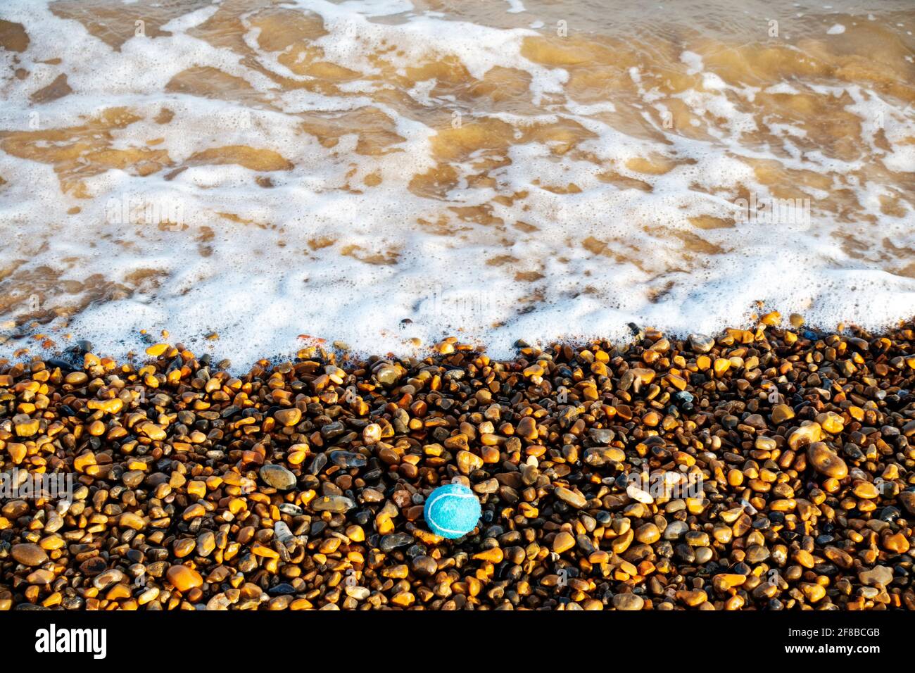 Tennis ball washed up on a beach Stock Photo - Alamy