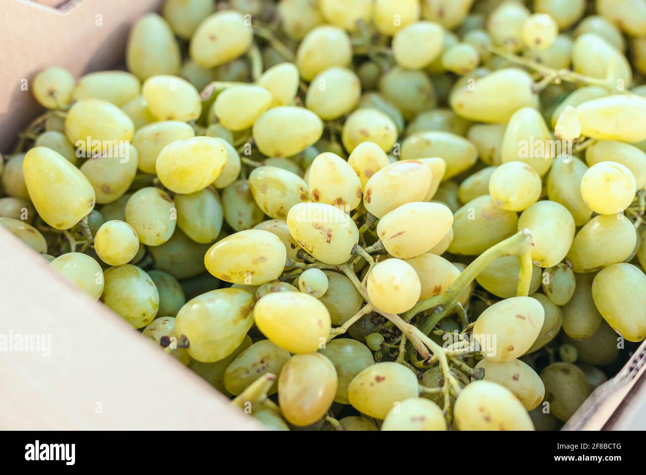 Grapes grocery store hi-res stock photography and images - Alamy