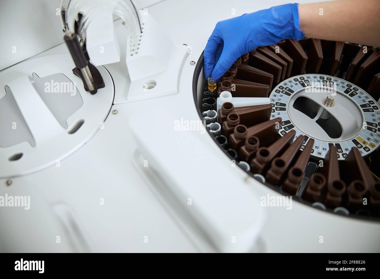 Scientist placing a small glass container into the biochemistry ...