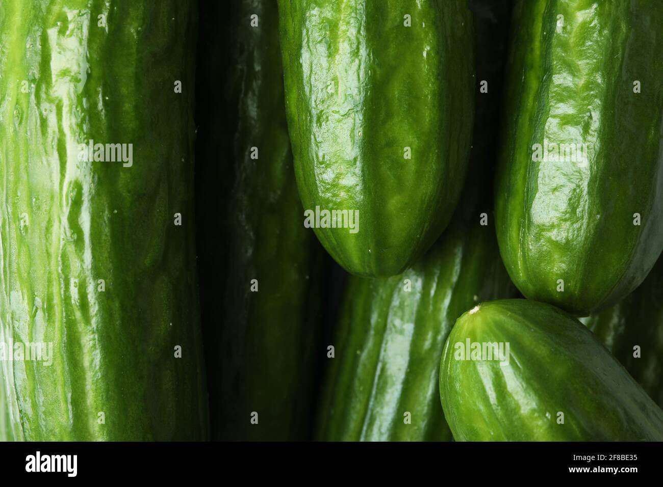 Close up group fresh cucumber hi-res stock photography and images - Alamy