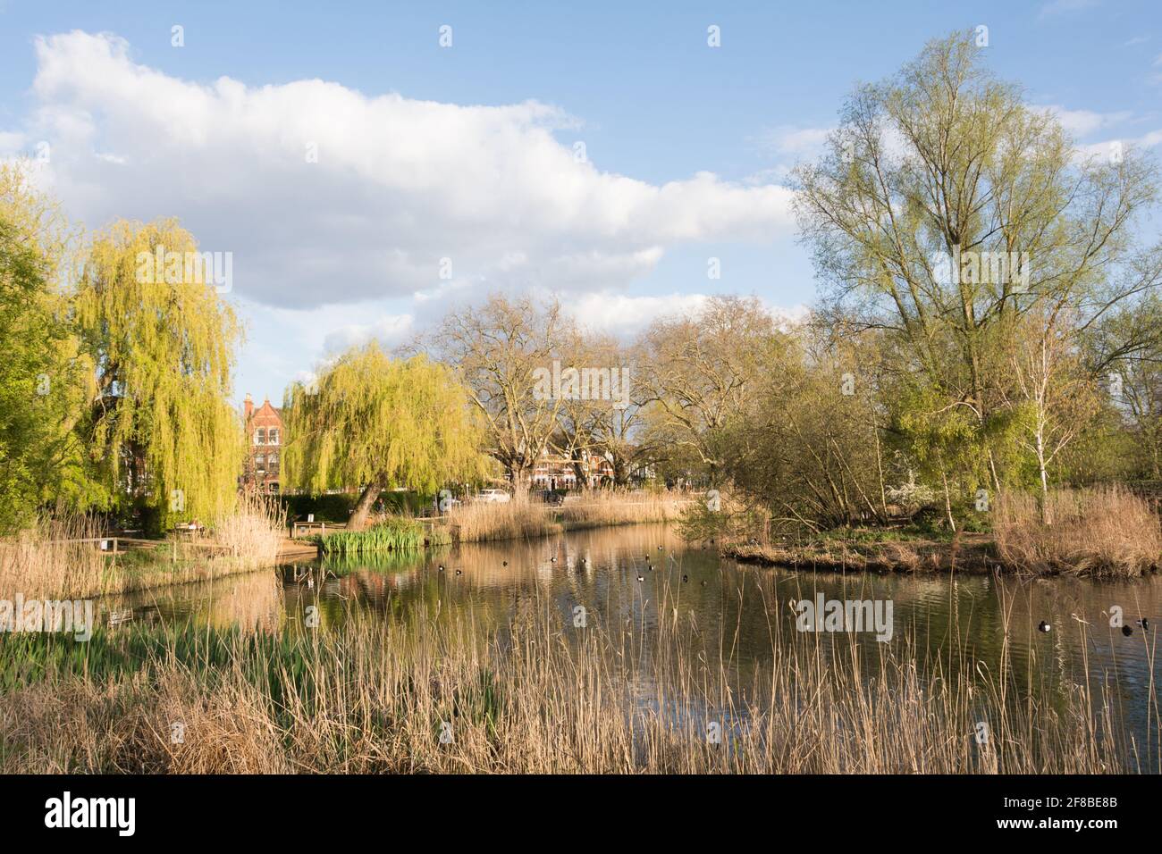 Barnes pond hi-res stock photography and images - Alamy