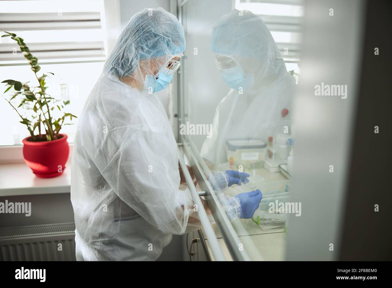 Scientist investigating a highly pathogenic virus in a research ...