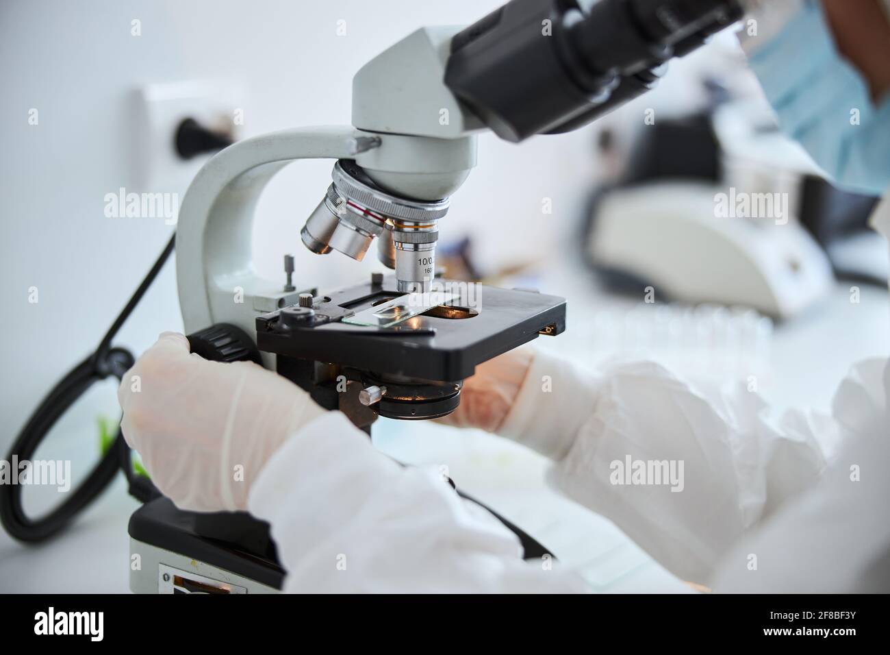 Lab technician examining cells under the microscope Stock Photo - Alamy