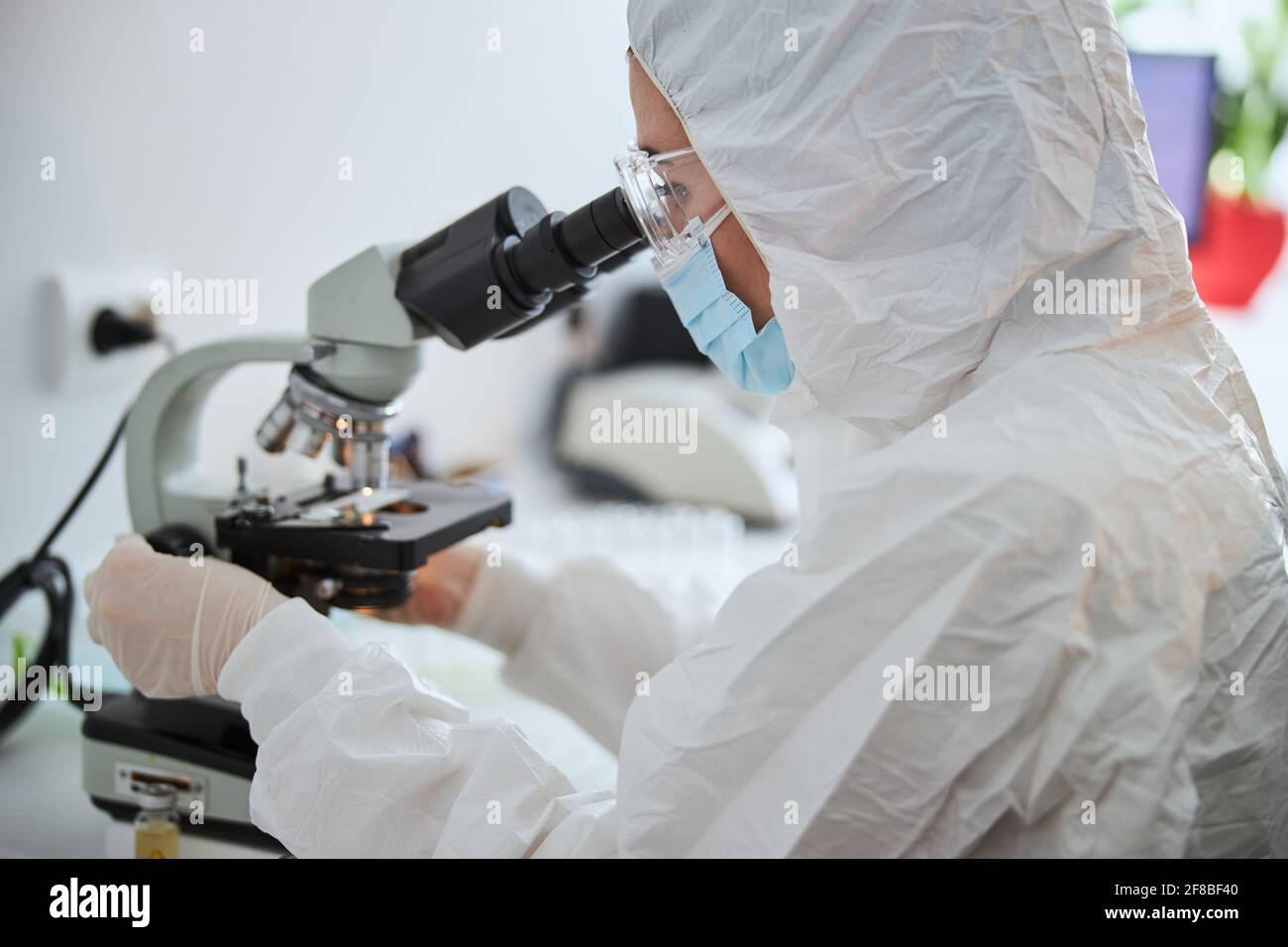 Observing cells hi-res stock photography and images - Alamy