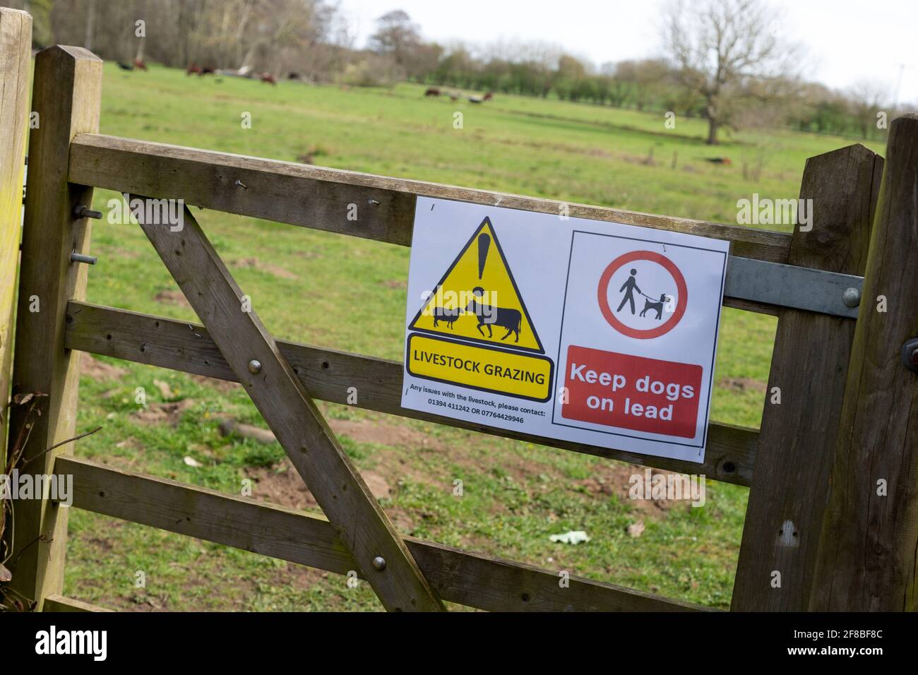 Keep dogs on lead sign livestock grazing, Shottisham, Suffolk, England ...