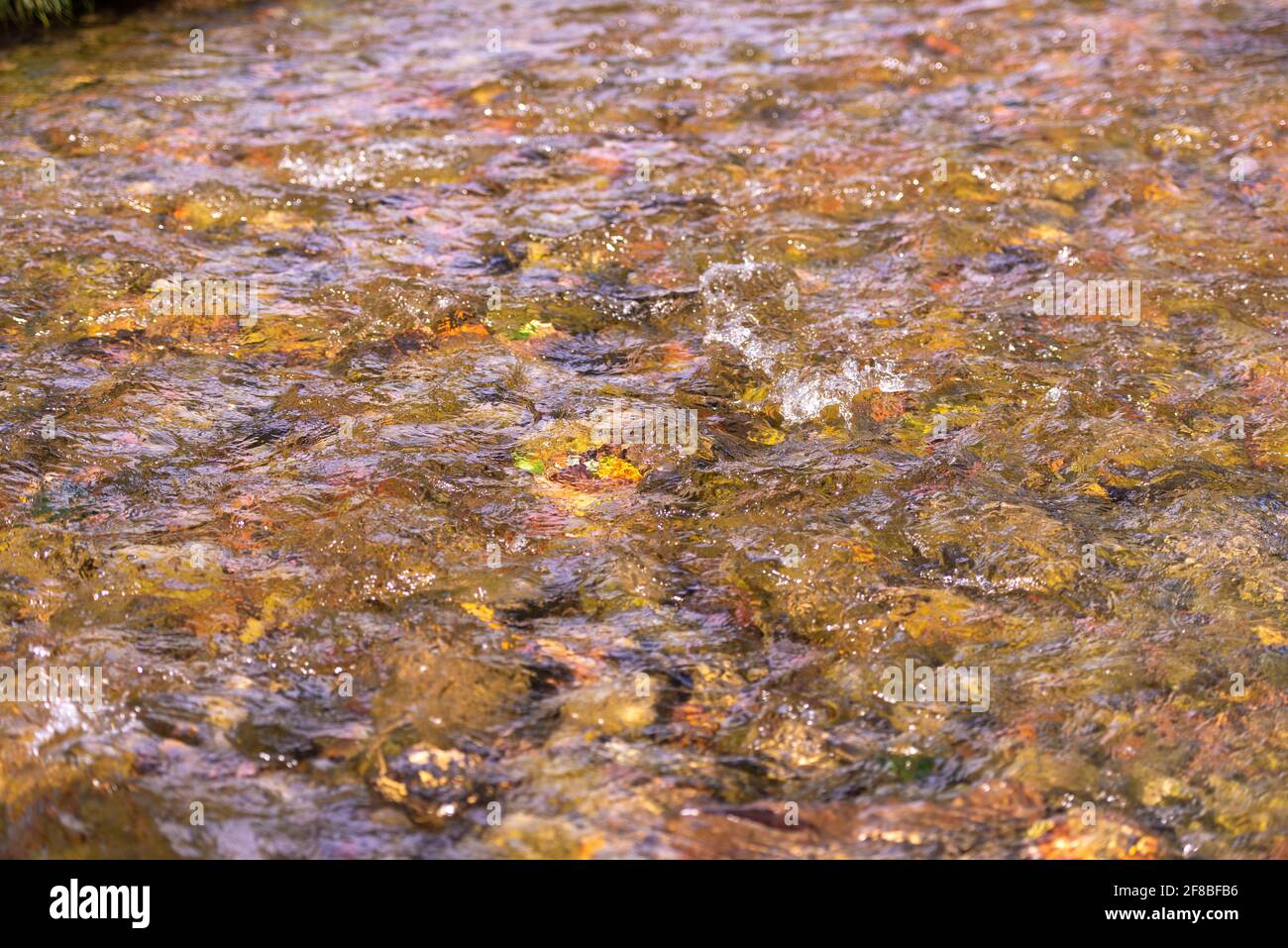 Spring water in the stream. Clear bubbling water in the stream ...