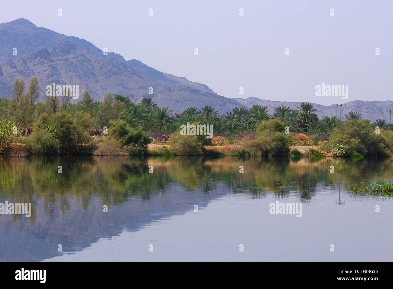 fishing kerala river Stock Photo - Alamy