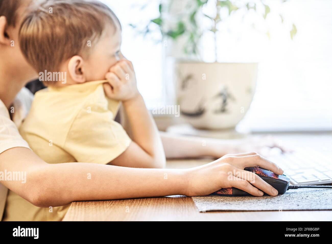 Concentrated little boy in yellow t-shirt looks into computer sitting ...