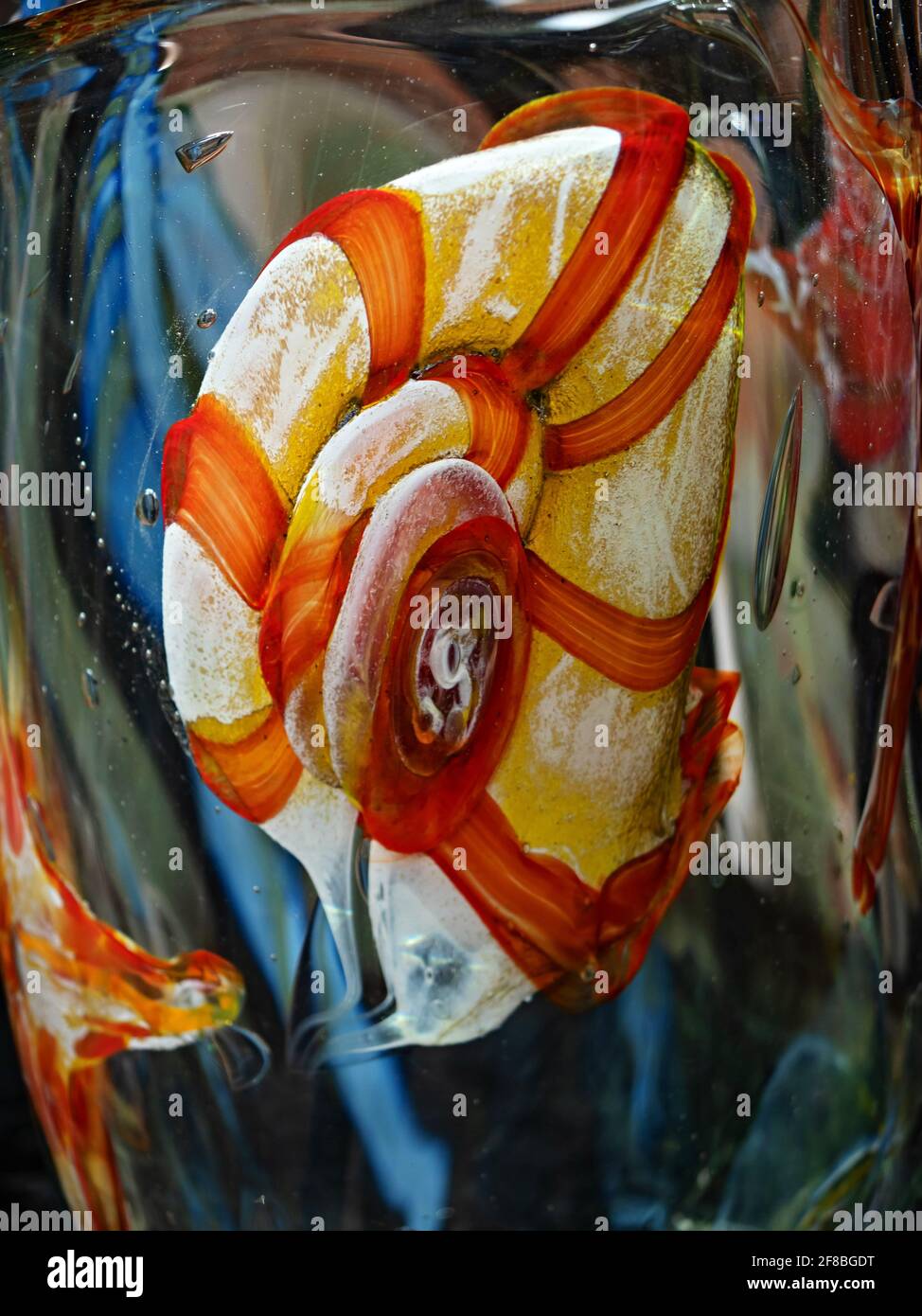Clam show hi-res stock photography and images - Alamy