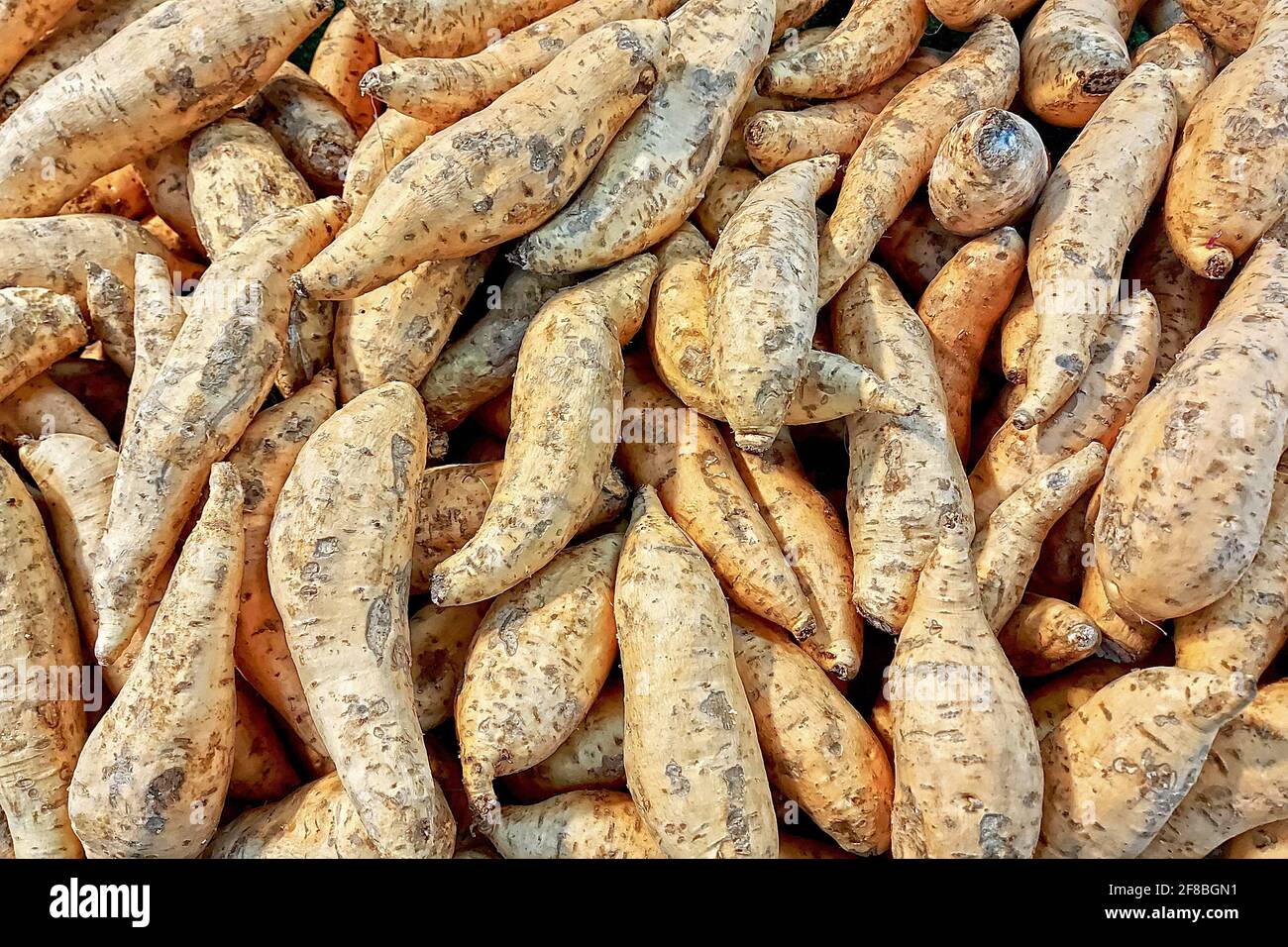 Vegetable at Grand Lucky Market, Jakarta, Indonesia Stock Photo - Alamy