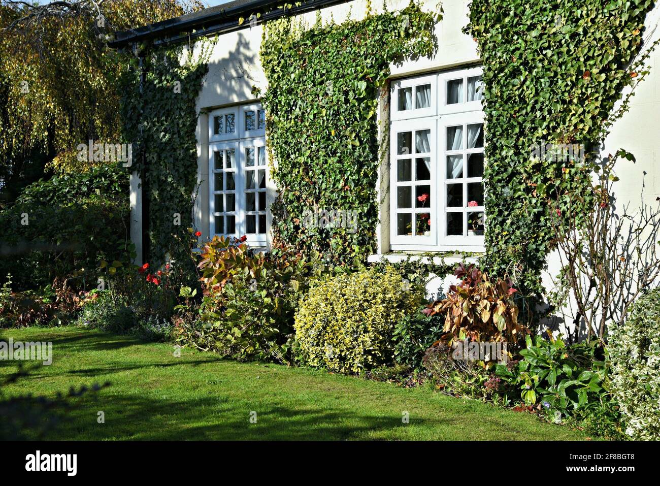 Gothic Cottage Windows High Resolution Stock Photography and Images - Alamy