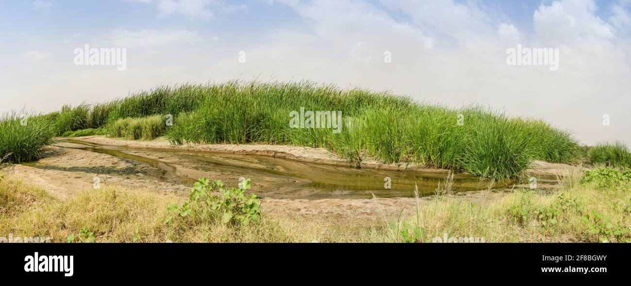 Saudi Arabian farm land Stock Photo - Alamy