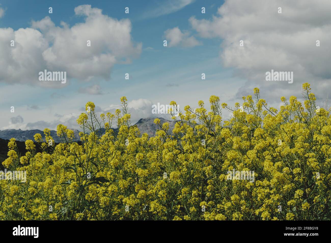 Beauty of Spain comes in different forms Stock Photo - Alamy