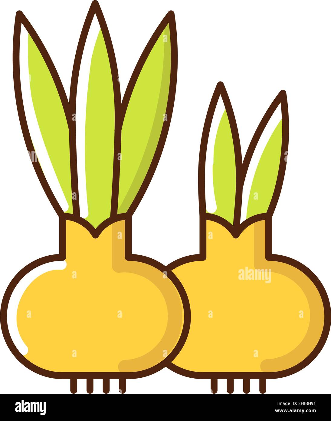 Growing bulbs Stock Vector Images - Alamy