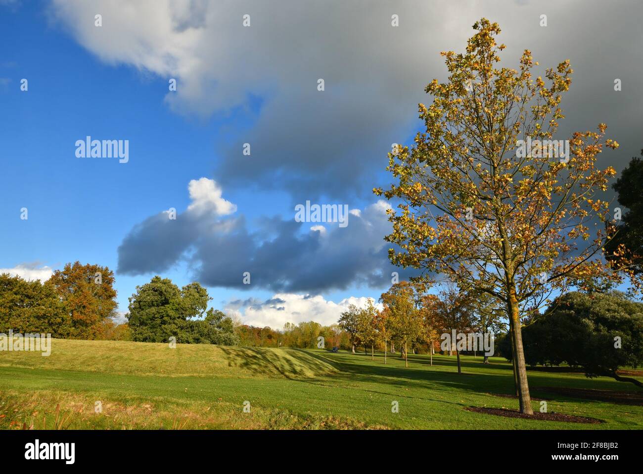 Limerick county golf hi-res stock photography and images - Alamy