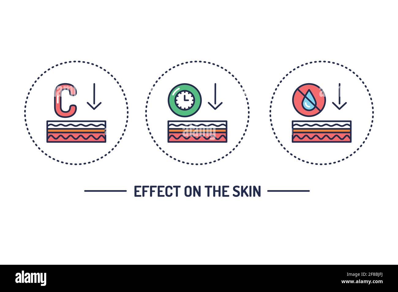 Structure skin line color Stock Vector Images - Alamy