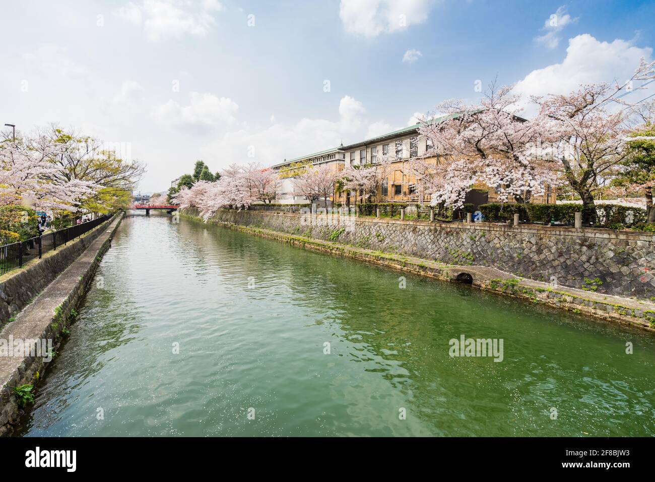 Iver plants hi-res stock photography and images - Alamy