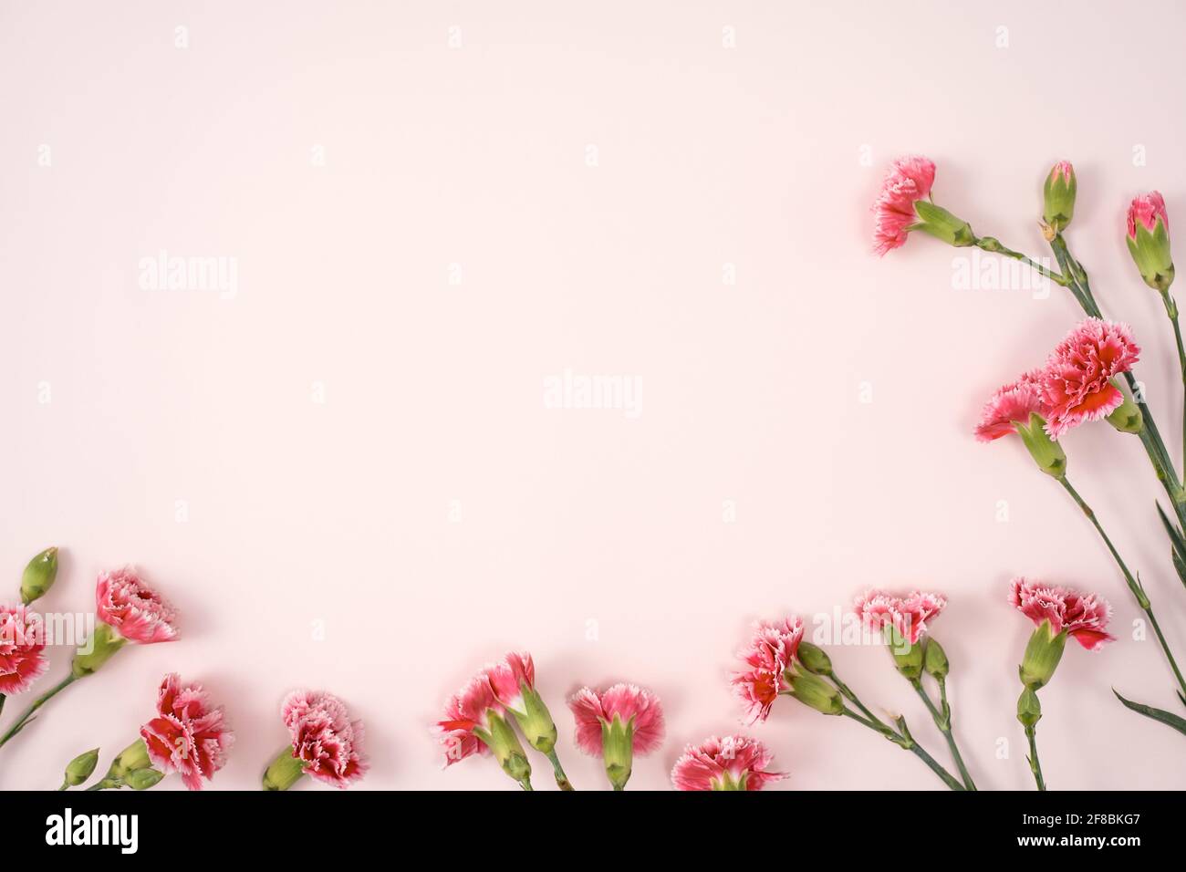 Design concept of Mother's day holiday greeting design with carnation ...