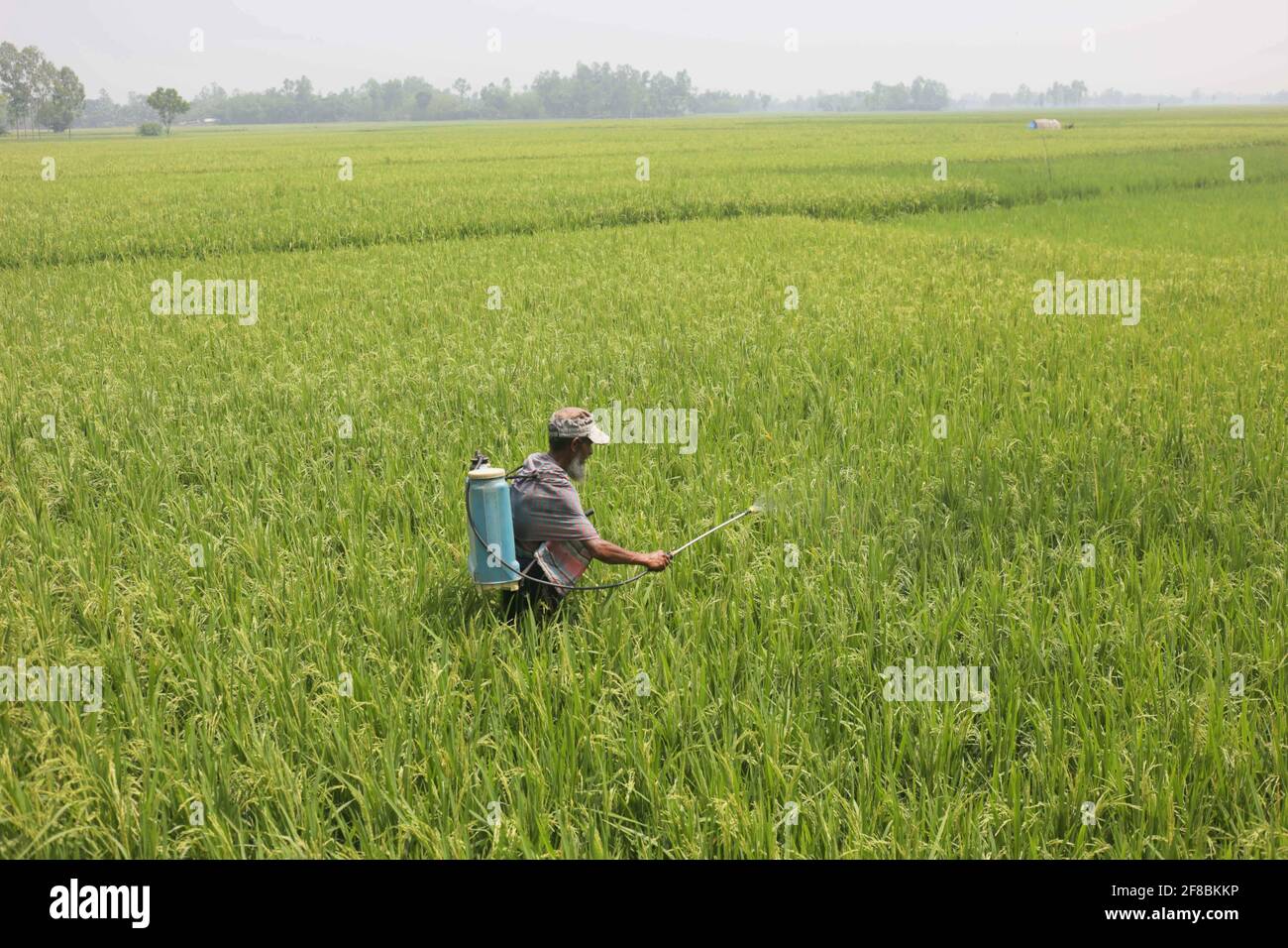 Verom hi-res stock photography and images - Alamy