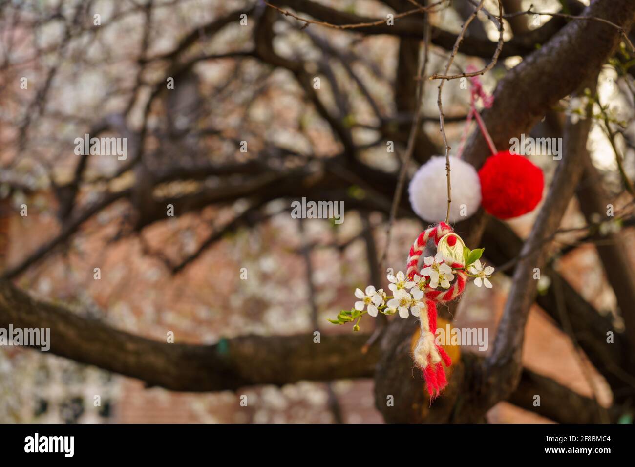 Martenitsa on a tree, Bulgarian springtime tradition Stock Photo - Alamy