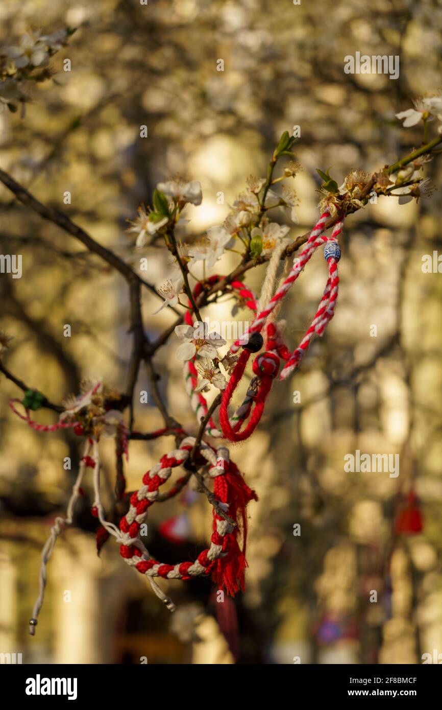 Martenitsa on a tree, Bulgarian springtime tradition Stock Photo - Alamy