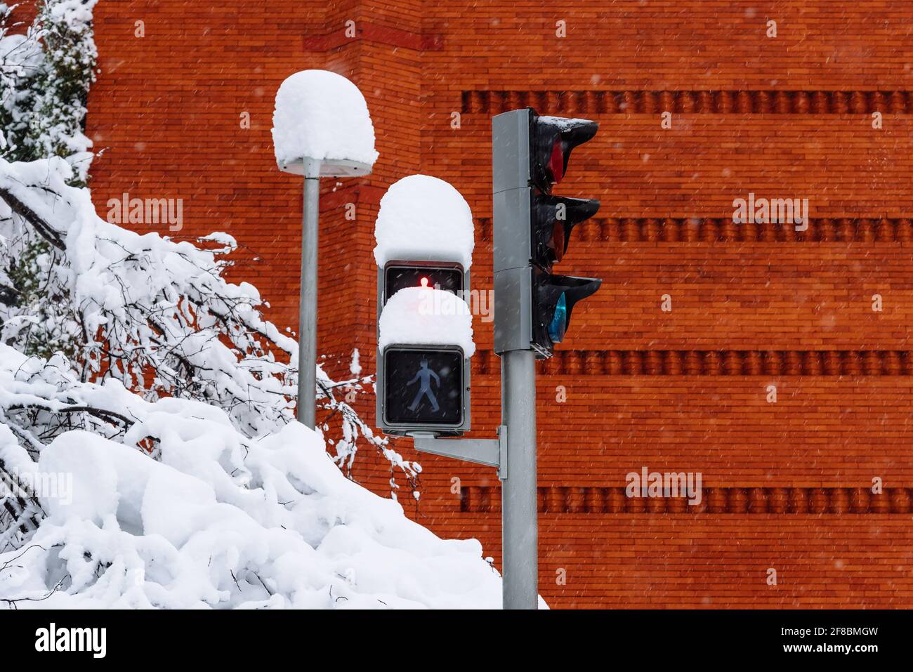Traffic light covered by snow during a heavy snowfall in the city. View ...