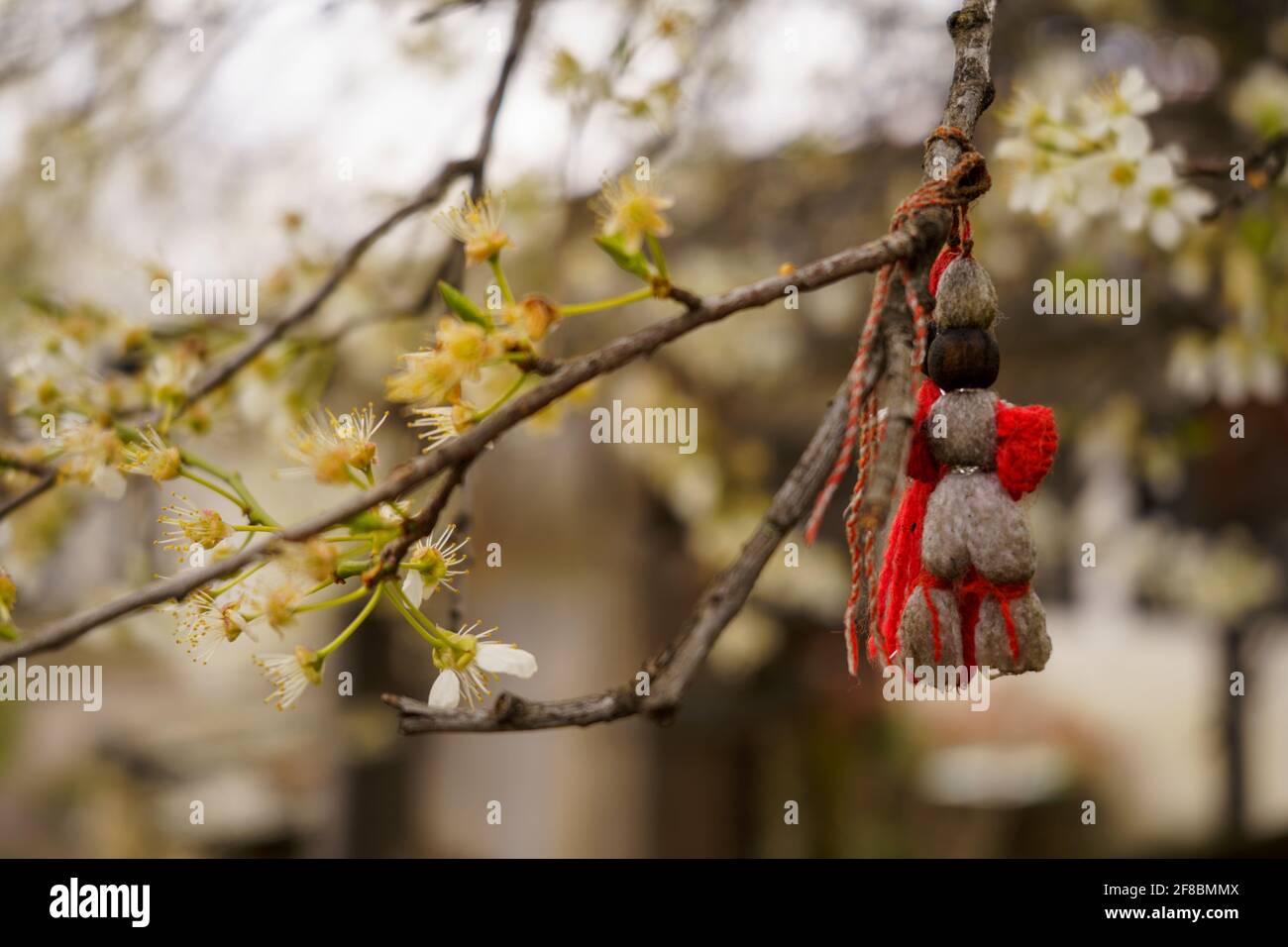 Martenitsa on a tree, Bulgarian springtime tradition Stock Photo - Alamy