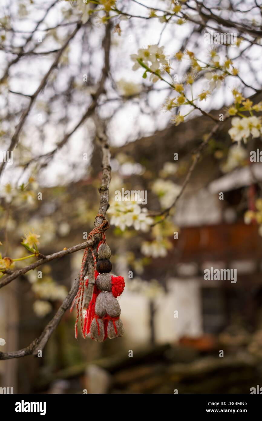 Martenitsa on a tree, Bulgarian springtime tradition Stock Photo - Alamy