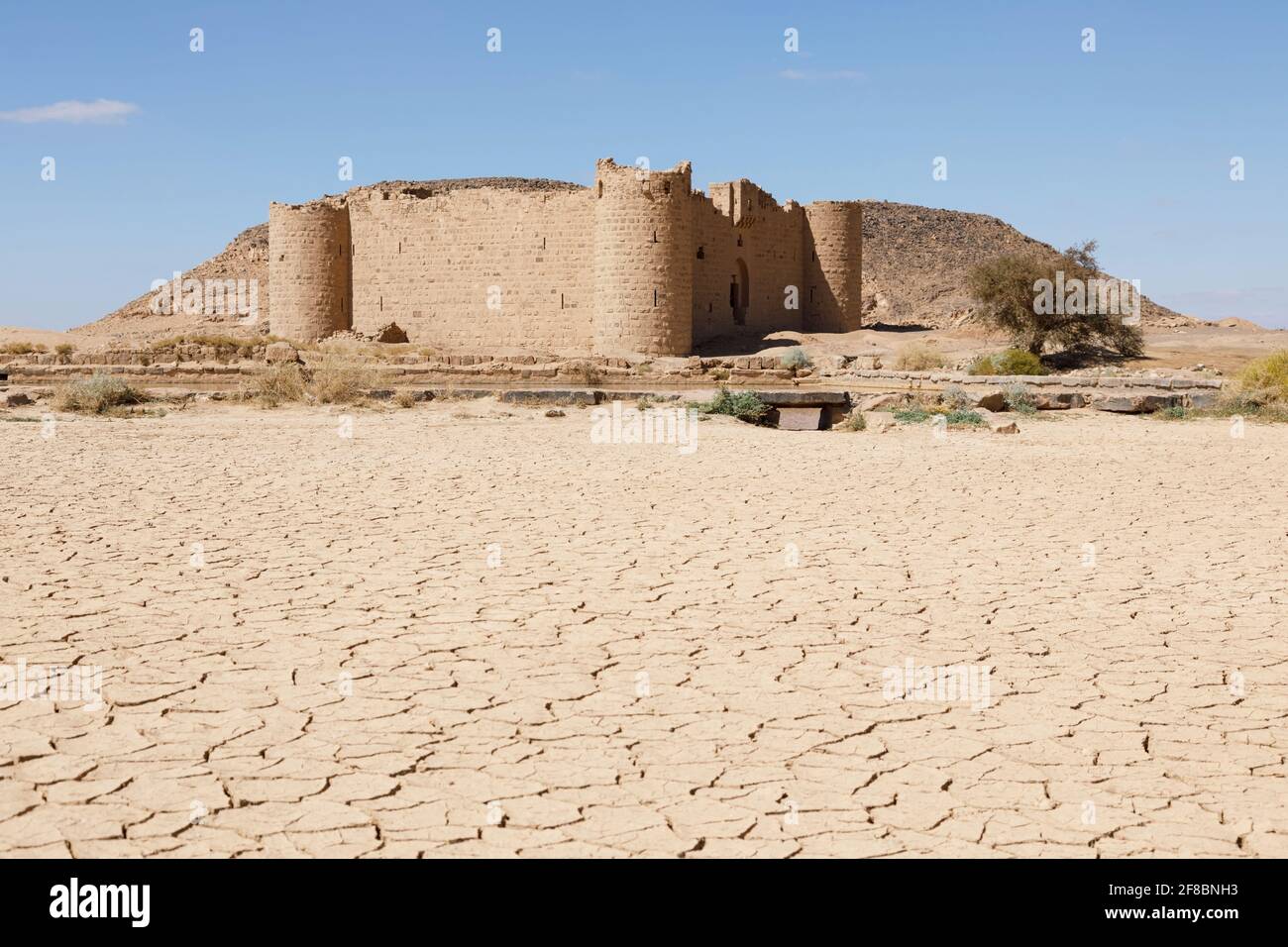 Tabuk saudi arabia hi-res stock photography and images - Alamy