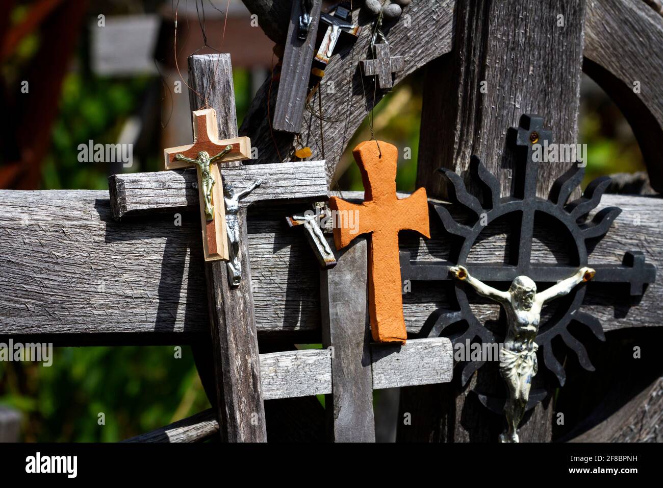 Close up shot of crosses in the Hill of Crosses a famous site of ...