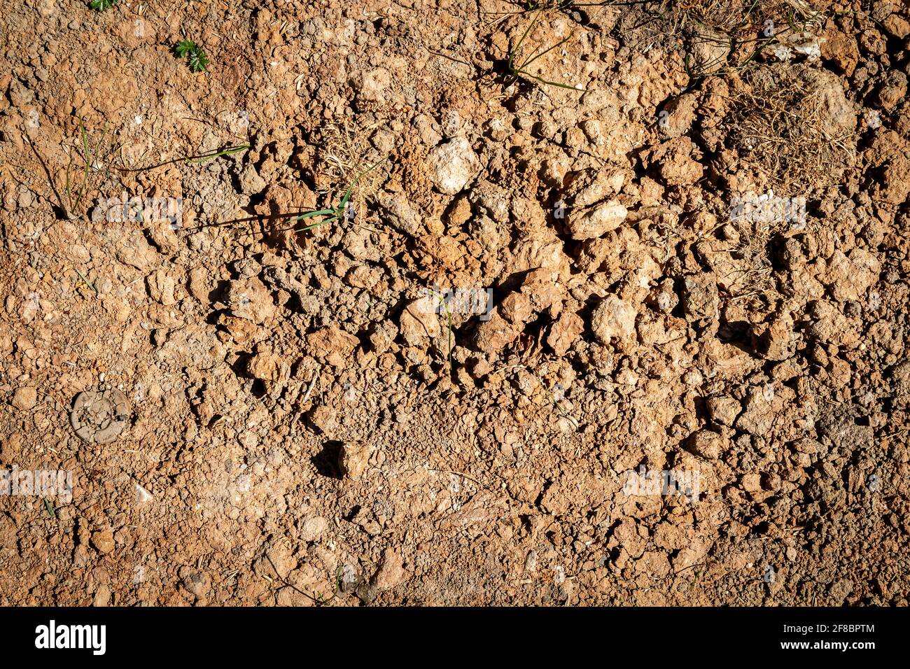 Abstract ground texture with clumps. Soil background Stock Photo - Alamy