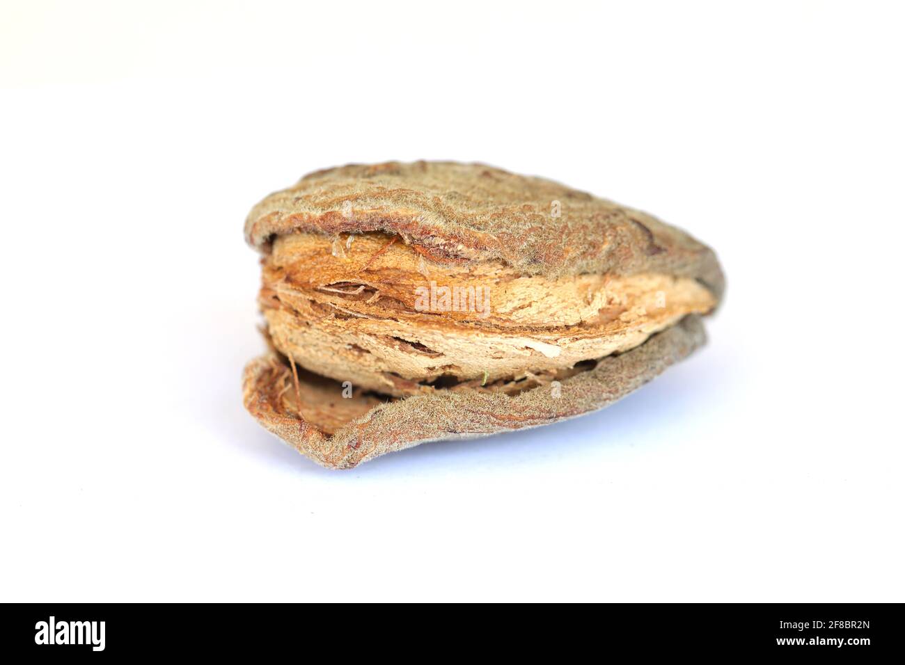 Almond with kernels Isolated on white background. Raw fresh almonds ...