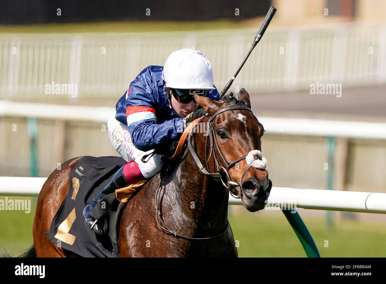 Winning alex scott maiden stakes hi-res stock photography and images ...