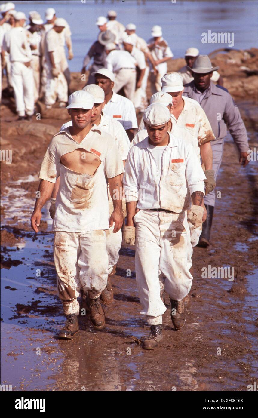 Fort Bend County Texas USA, circa 1994: Inmates from the Ramsey II Unit ...
