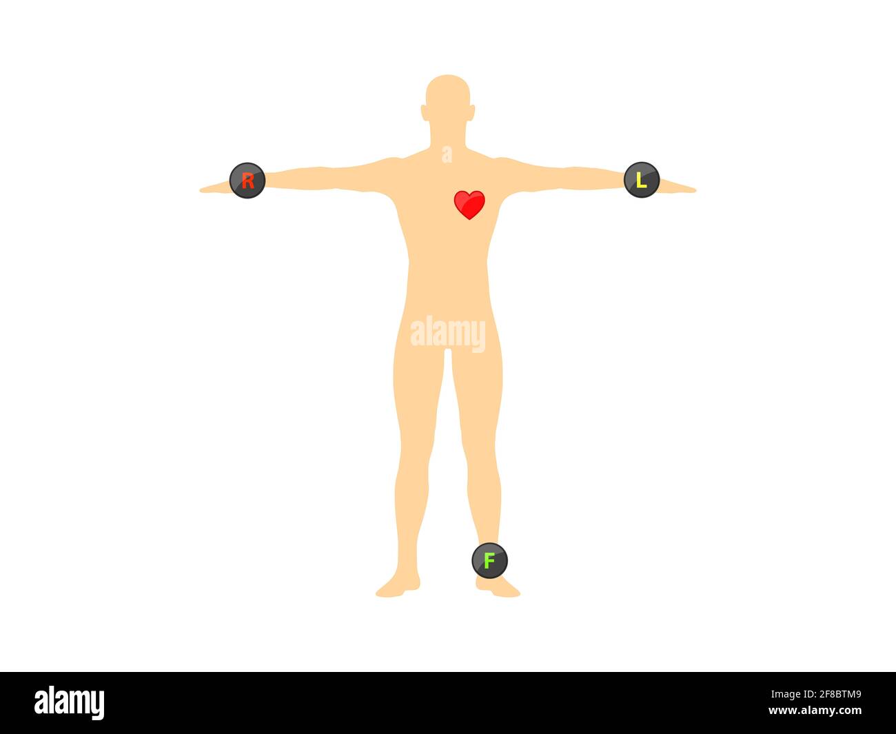 Einthoven ECG triangle, including augmented unipolar limb lead ... Einthoven ECG triangle, including augmented unipolar limb lead ...