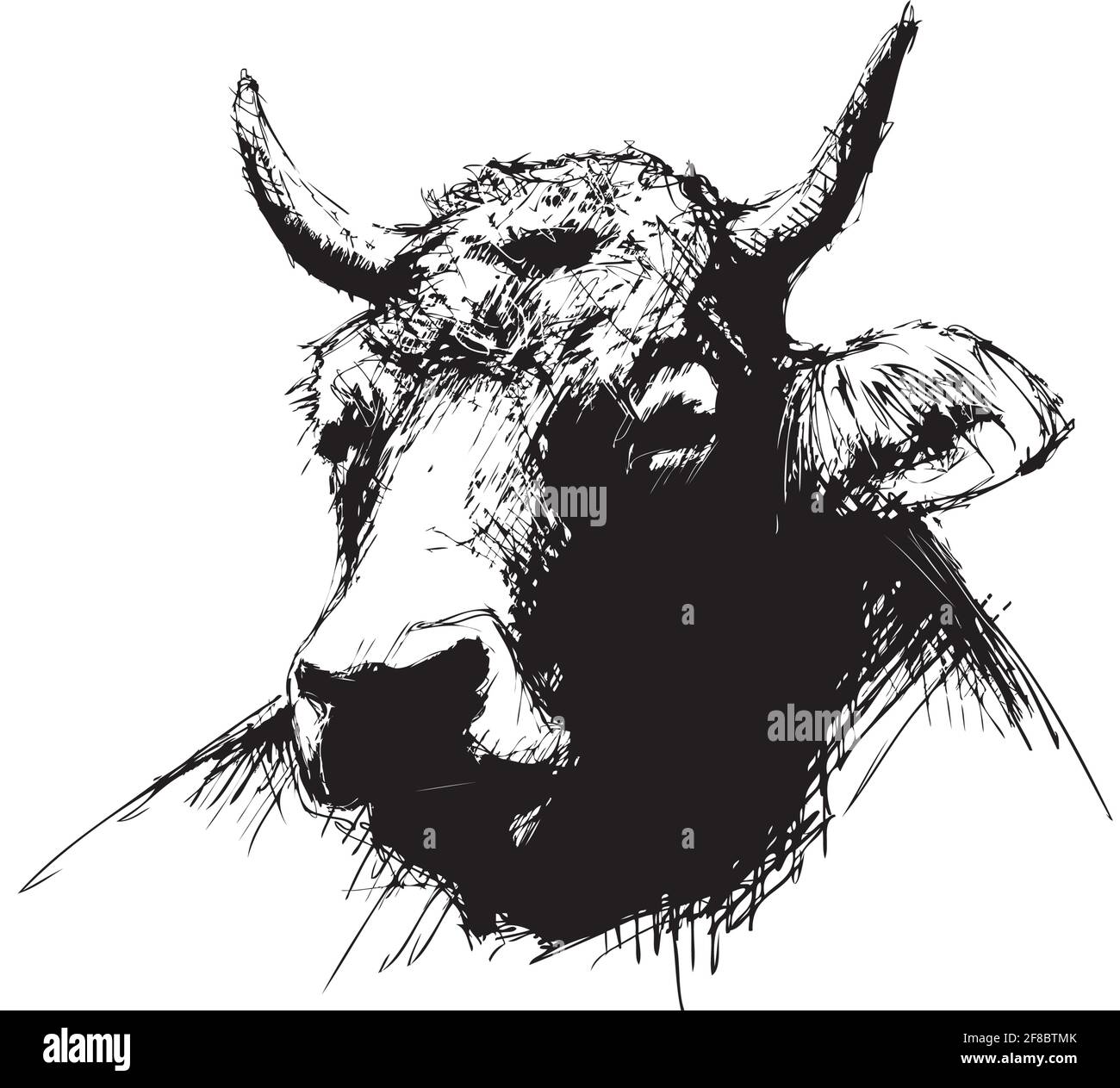 cow vector illustration Stock Vector Image & Art - Alamy