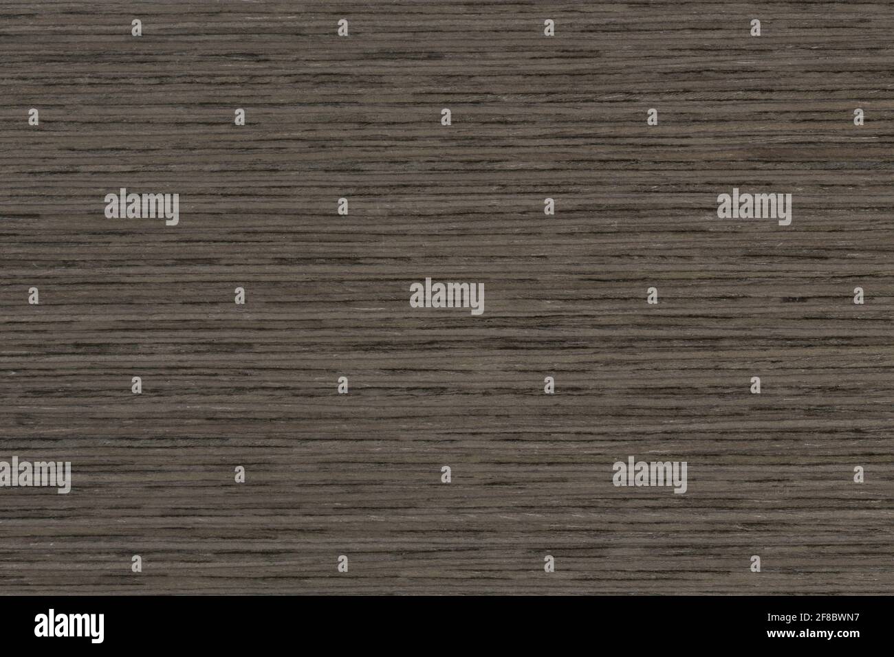 Natural veneer texture of gray oak. Extremely high resolution photo ...
