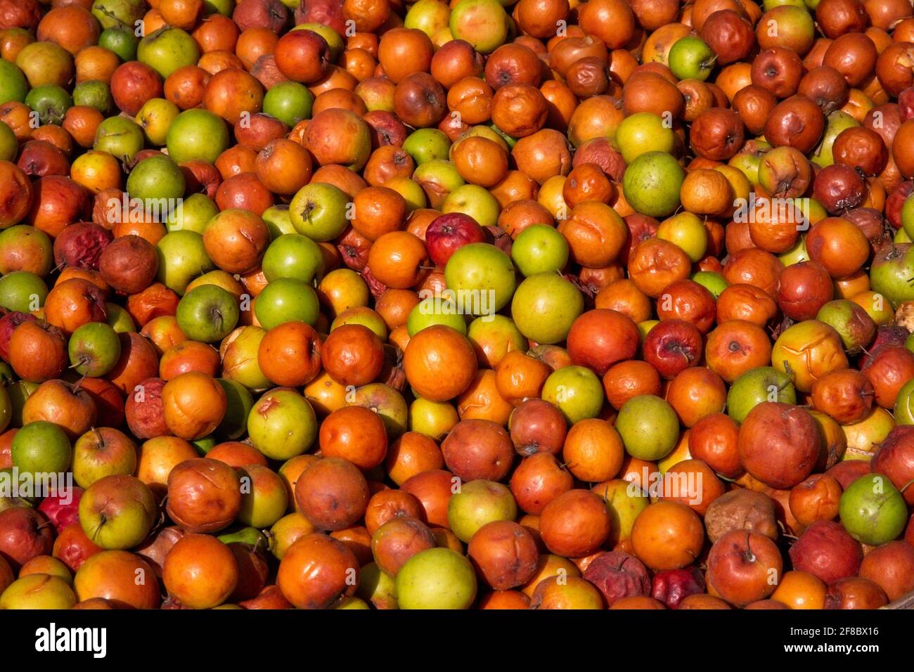 Closeup macro of colorful fruits forming a colorful background pattern ...