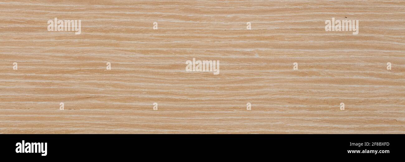 Elegant natural oak veneer background in light beige color. Natural ...