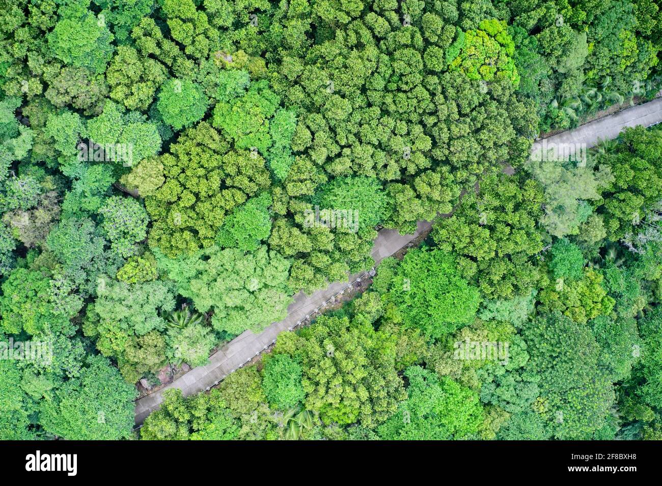 Drone field of view of a walkway through a green landscape showcasing ...