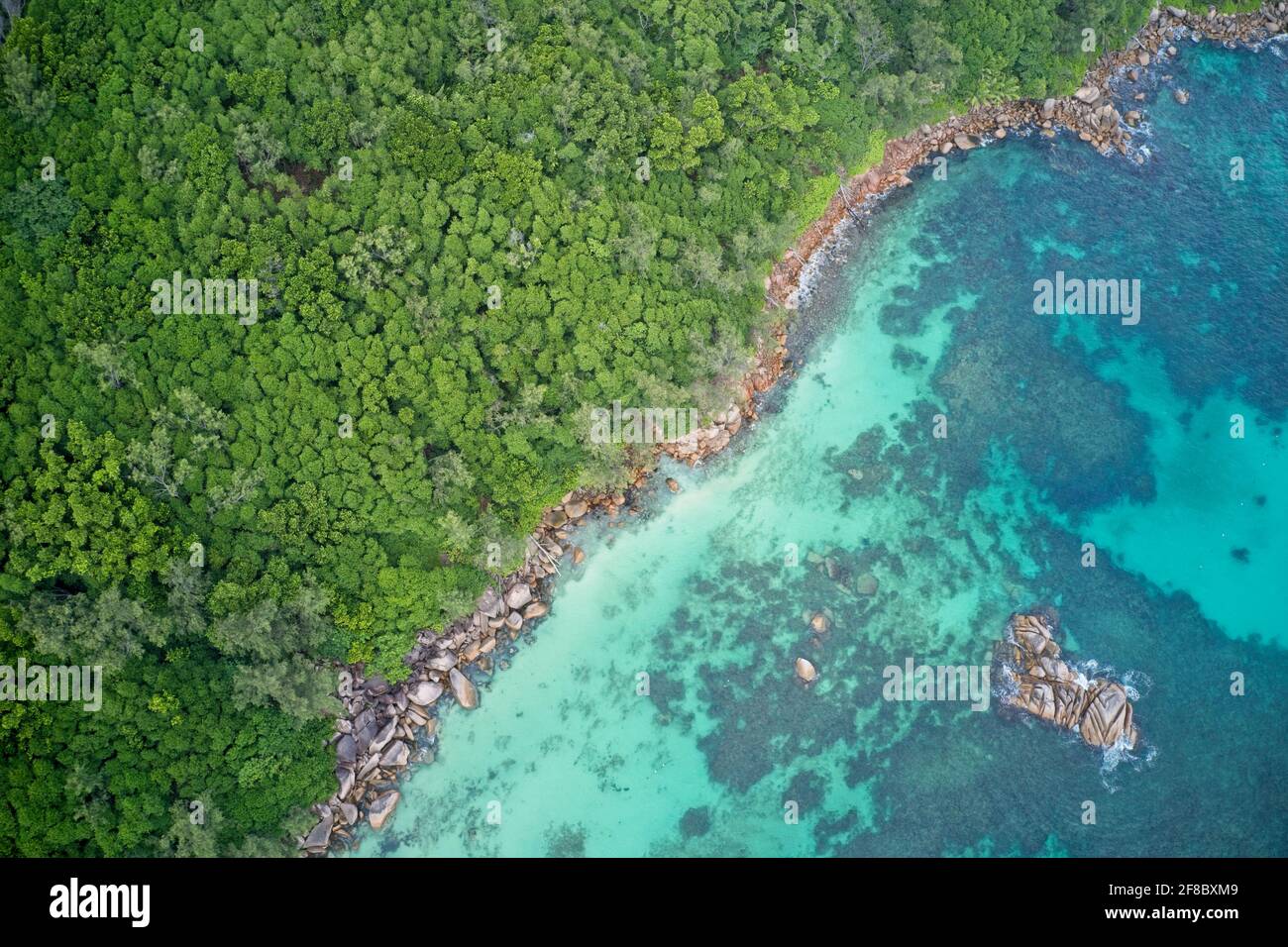 Aerial view of beach and forest forming patterns in nature background ...
