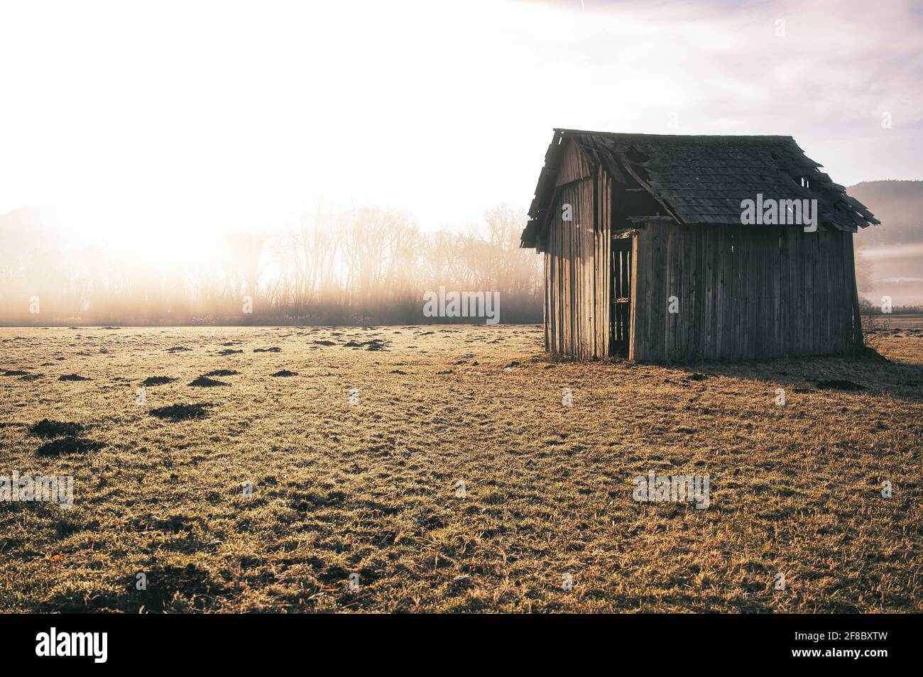 Hovel cartoon hi-res stock photography and images - Alamy