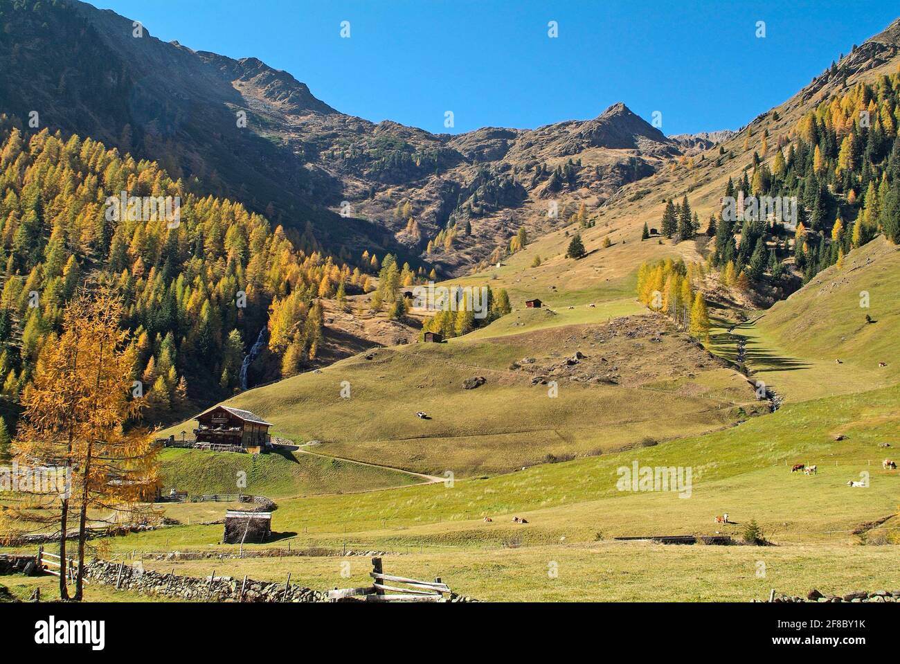 Austria, farm in Villgraten valley in East Tyrol Stock Photo - Alamy