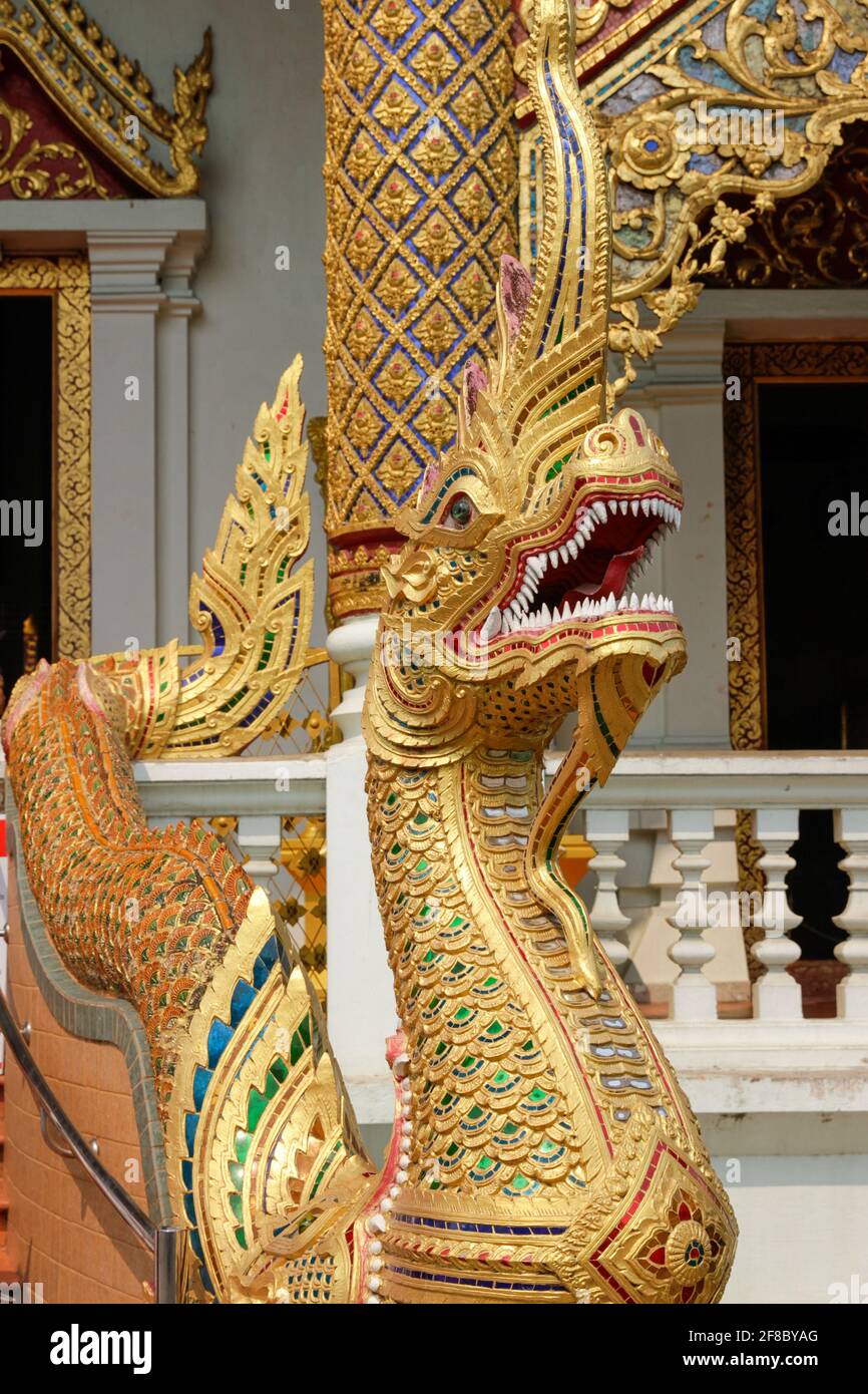 Traditional carved gold dragon snake statue at Thai temple in Chiang ...